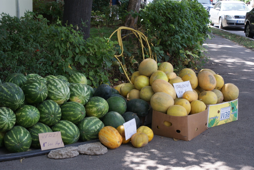 Au fost stabilite amplasamentele pentru comerțul ambulant cu pepeni în ...