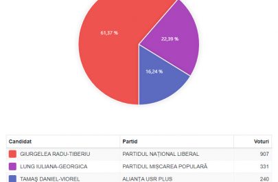 Rezultatele la Primăria Vârfurile, județul Arad – Alegeri locale 2020 ...