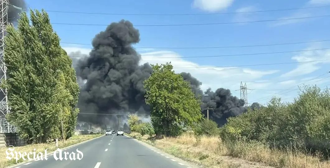 Fum negru și panică printre locuitori: incendiu de vegetație și ...
