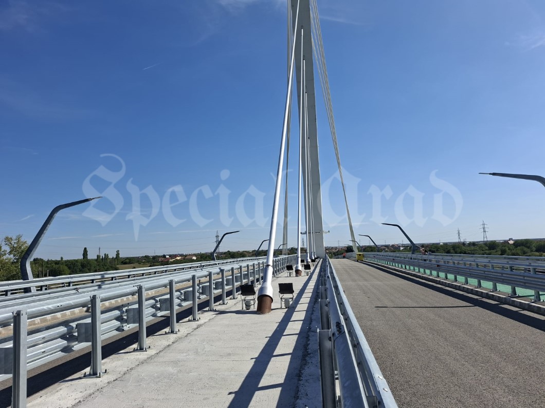 Podul hobanat din Arad se ușurează cu 1500 de tone. Proiectanții susțin ...